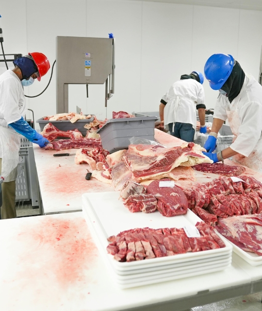 Quality Wholesale Meat Traders - BP FOOD SERVICE